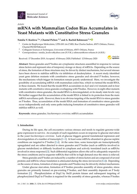 Pdf Mrna With Mammalian Codon Bias Accumulates In Yeast Mutants With Constitutive Stress Granules