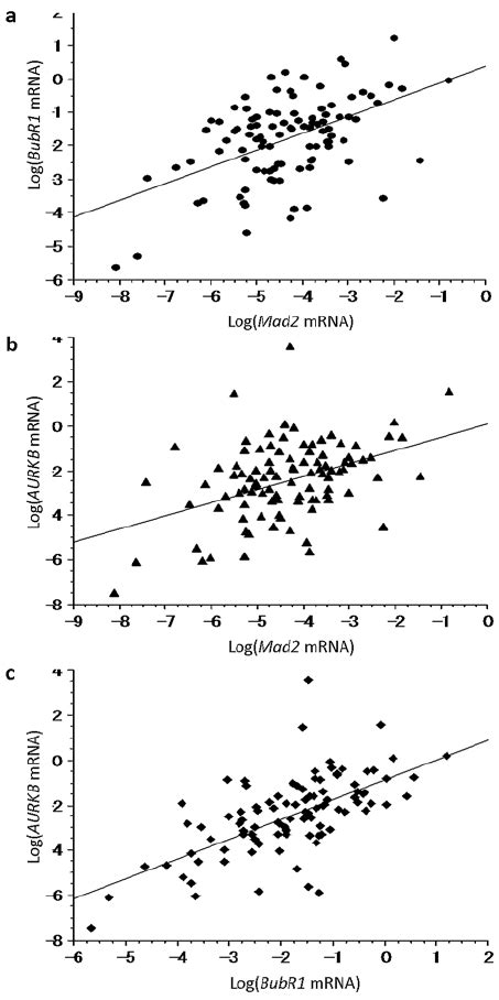 A Relapse Free Survival Of 88 Patients Who Underwent A Curative R0 Download Scientific