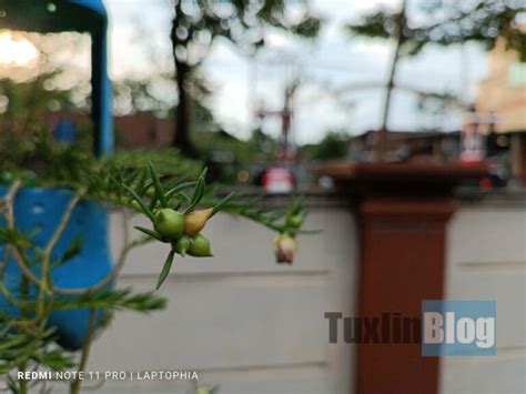 Review Kamera Xiaomi Redmi Note Pro Lebih Bagus Dari Pendahulunya Tuxlin Blog