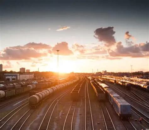 비타민 C와 피부 재생의 과학적 관계 크래프티노트