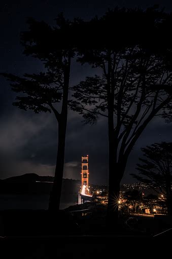 골든 게이트 브리지 별 밤 두 Silhouetted 나무와 자동차 빨간색과 모션을 보여주는 흰색의 빛을 산책로 사이 줄지어 트래픽 및 다리 대칭 대칭의 보기에 머리 0명에