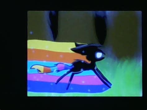 Commander Kitty By Spartaleaf On Deviantart