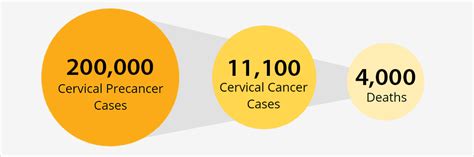 Cancers Caused By Hpv Hpv Cdc
