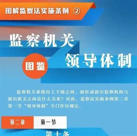 图解监察法实施条例丨监察机关领导体制图鉴 吴熠炜