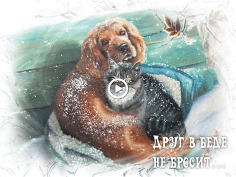 Страница 22 — 400+ Скачать картинку водопад открытки, Скачивайте ...