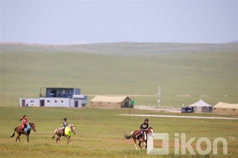 ФОТО Ховд аймгийн Чандмань сумын харьяат Яйчилын Ганболдын хээр Соёолон насны ангилалд түрүүллээ