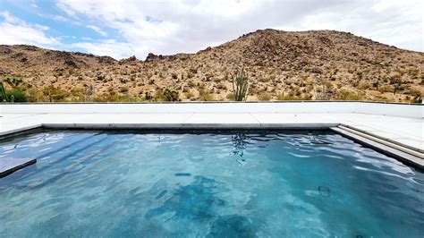 The Desert Compass Remembering When Our Trumpet Vines Were In Full