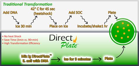 Directplate™ Competent Cells Intact Genomics