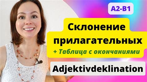 🇩🇪 Урок 1 Склонение прилагательных в немецком языке Youtube