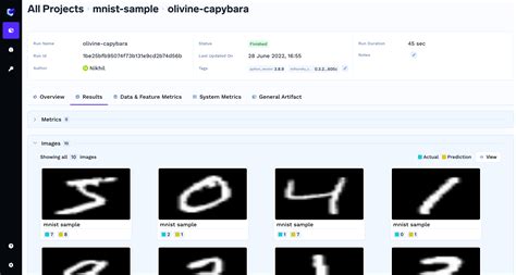 Create Pytorch Dataset From Dataframe Restackio