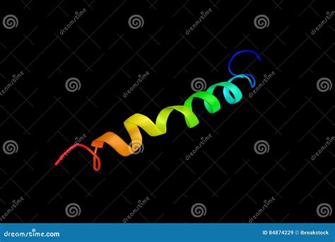 Glucagon Like Peptide 1 Glp 1 A Potent Antihyperglycemic Hormone Stock Illustration