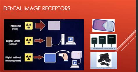 Fpc Radiology Flashcards Quizlet