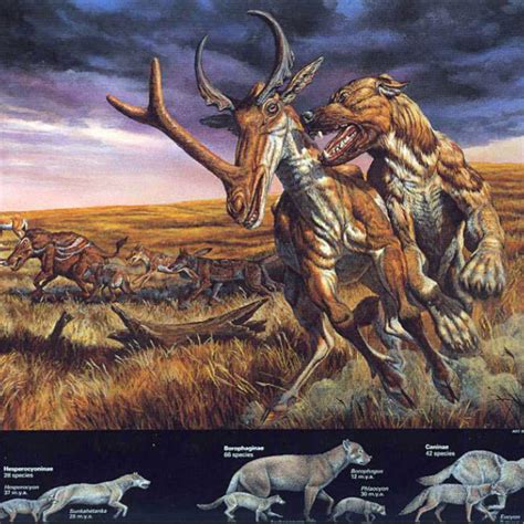 Salzman International Illustration Agency Commercial Art Advertising