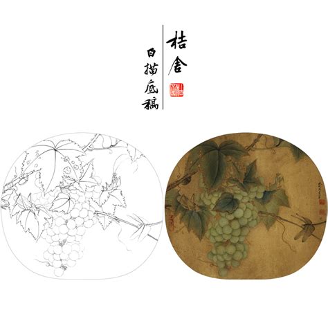 葡萄白描图 工笔葡萄白描 文秘苑图库