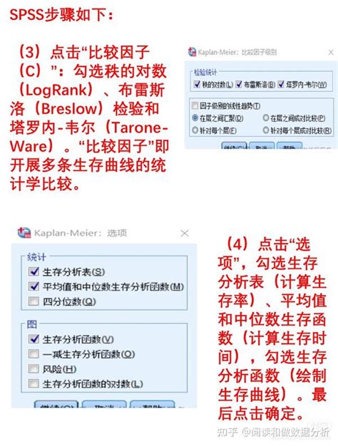 Spss生存分析（手把手教） 知乎
