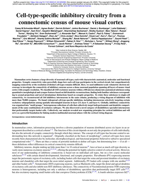 Pdf Cell Type Specific Inhibitory Circuitry From A Connectomic Census Of Mouse Visual Cortex