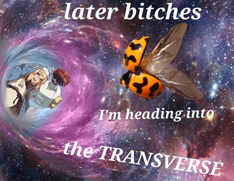 Lady Bird Idk Sounds Pretty Dykey To Me Rokbuddyhetero