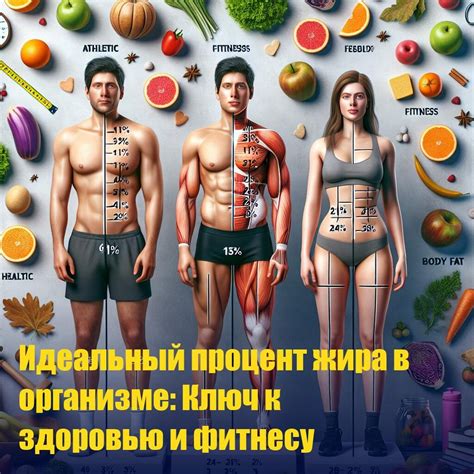 Процент жира у женщин и мужчин нормы и особенности