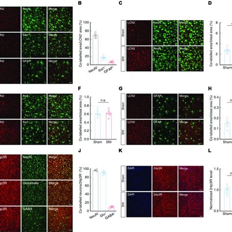 Cubic Spline Function Curves Of The Multivariable Adjusted Relationship