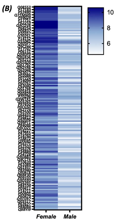 Sex Differences In Biological Processes And Nitrergic Signaling In Mouse Brain