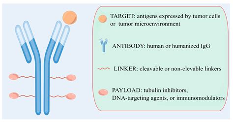 Antibody Drug Conjugates For Breast Cancer Treatment Emerging Agents