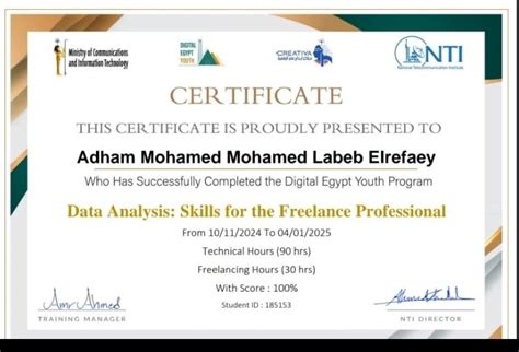 Dataanalysis Freelancing Nti Digitalegypt Sql Excel Powerbi