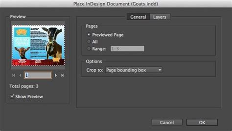How To Import PDFs And Other InDesign Documents Into InDesign CC Dummies