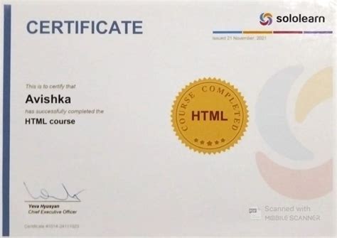 sololearn avishka fernando