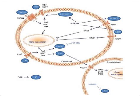 Exploration Of Quorum Sensing Peptides The Missing Link Between Microbiome And Cancer Outcome