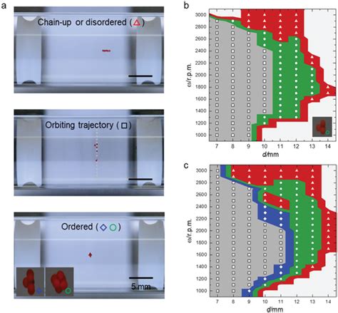 Trapping Of Particle Clusters And Phase Diagrams A Three Predominant