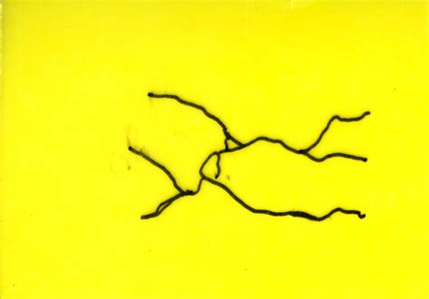 Kintsugi Alexandra Bellon