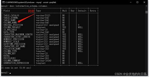 Sql注入系统数据库informationschemaschemaschemata Csdn博客