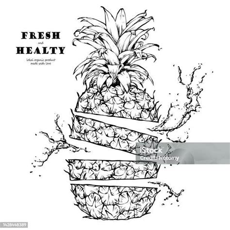 벡터 손으로 그린 파인애플과 슬라이스 된 부품 세트 열대 여름 과일에는 스타일 일러스트레이션이 새겨져 있습니다 상세한 음식 준비