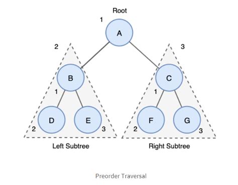 Ds Tree Traversal