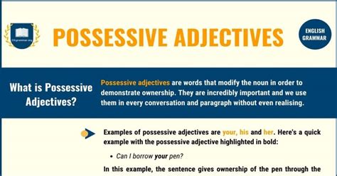 Possessive Adjectives Definition Usage With Useful Examples ESL Grammar