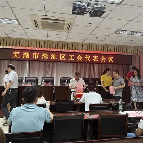 湾沚区召开工会代表会议 芜湖市 代表大会 政治