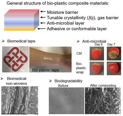 Developing Bio Sourced And Biodegradable Polyesters Films As Sustainable Alternatives To