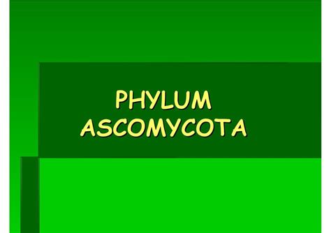 Phylum Ascomycota Bio Notes Udocz