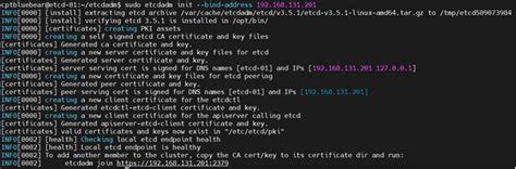 Etcd Cluster