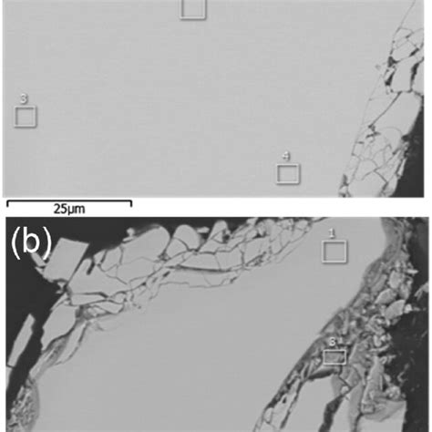 A Sem Image Of As Grown Sm 2 Co 1669 Ta 031 Single Crystal Along
