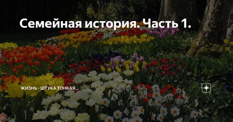 Семейная история Часть 1 Жизнь штука тонкая Рассказы о любви дружбе отношениях