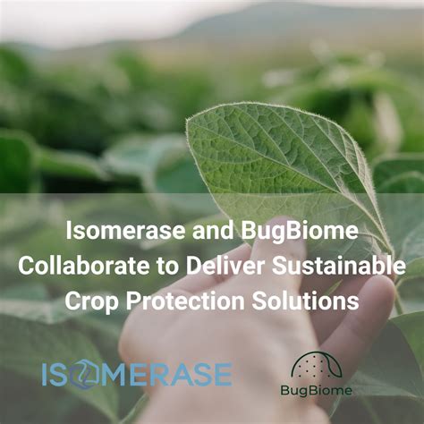 Isomerase On Linkedin Sustainableagriculture Bioinsecticides