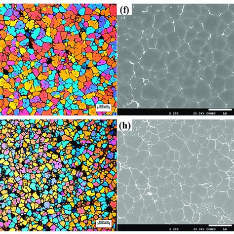 Optical Microstructures Of As Cast Alloys A 221 Wt Mg B 276
