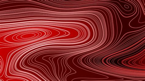 Abstract Fluid Lines Background Motion Graphics Videohive