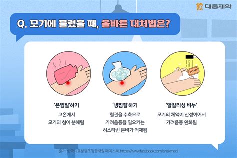 투디갤 모기물린펭들을 위한 꿀팁