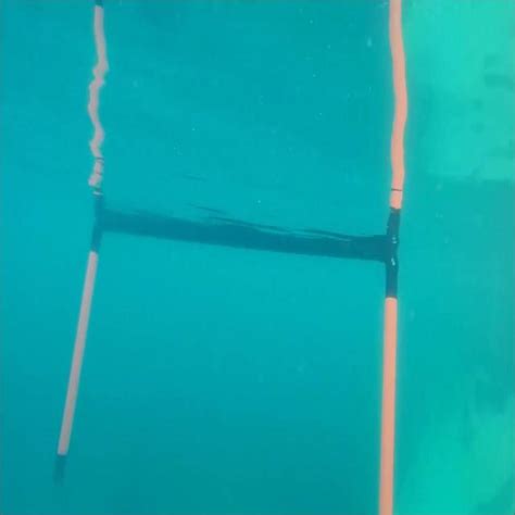 Robosub 2024 Object Detection Dataset By Robocats