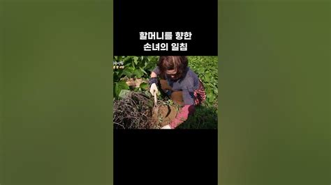 일 못하는 할머니를 향한 손녀의 일침 Shorts Ebs라이프스타일 Youtube