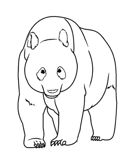 نقاشی پاندا برای کودکان؛ ۲۵ طرح زیبا و جذاب برای رنگ آمیزی ستاره