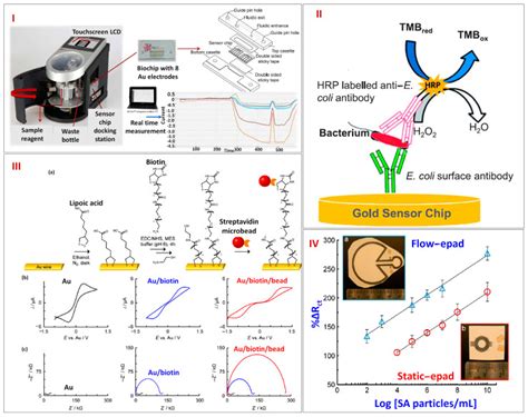 Insights Into The Fabrication And Electrochemical Aspects Of Paper