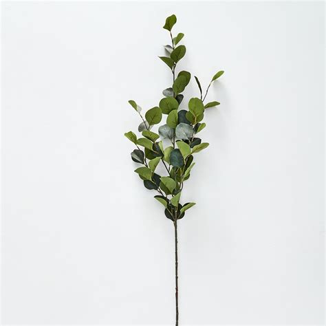 Silver Eucalypt Foliage Green Provincial Home Living